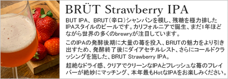 手作りビールキット_アドバンストブルーイング